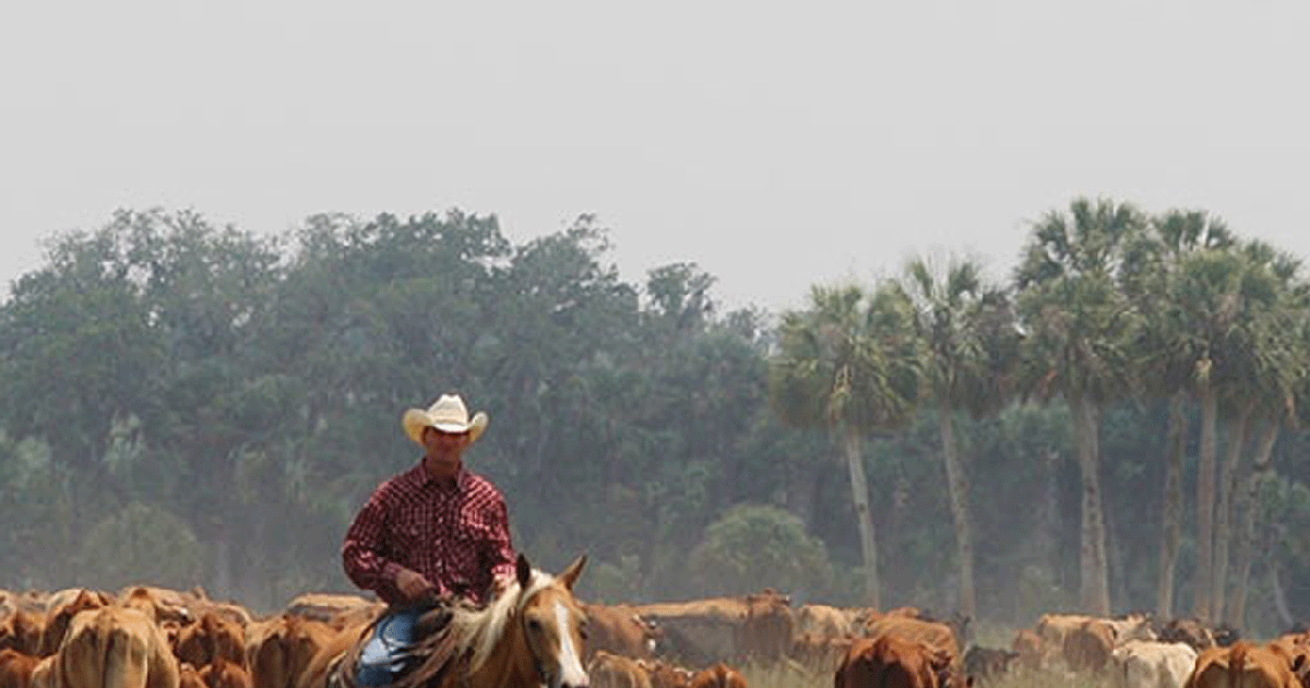 Massive Mormon ranch plan in Florida draws scrutiny - CBS News