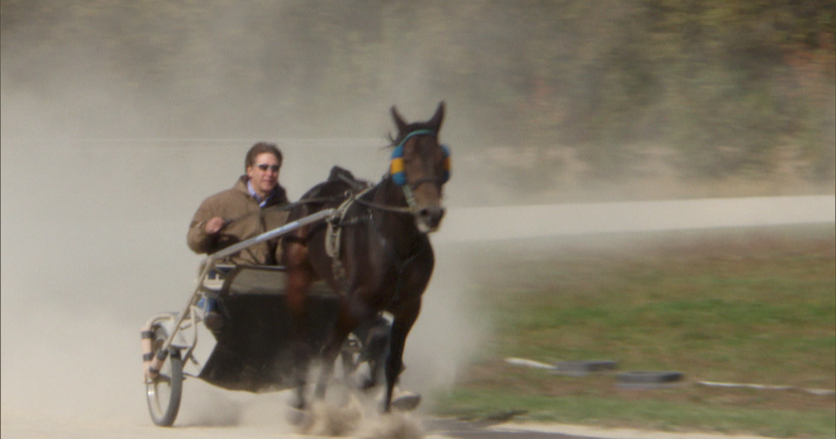 On the Road: Steve Hartman gets a lesson in horse racing - CBS News