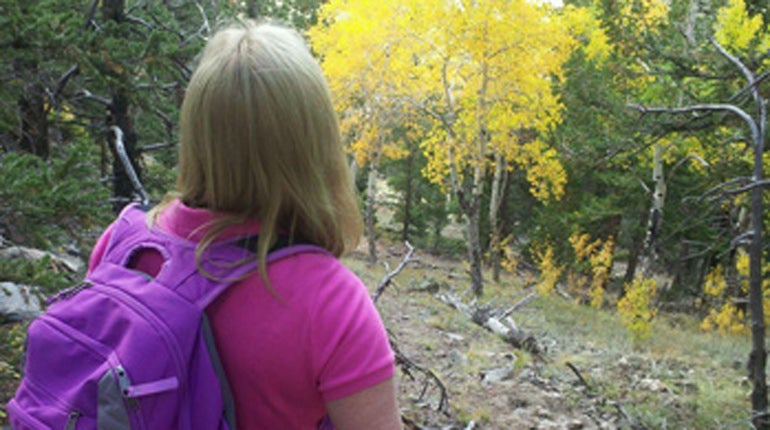 The Accidental Husband: "48 Hours" investigates the deaths of Harold ...