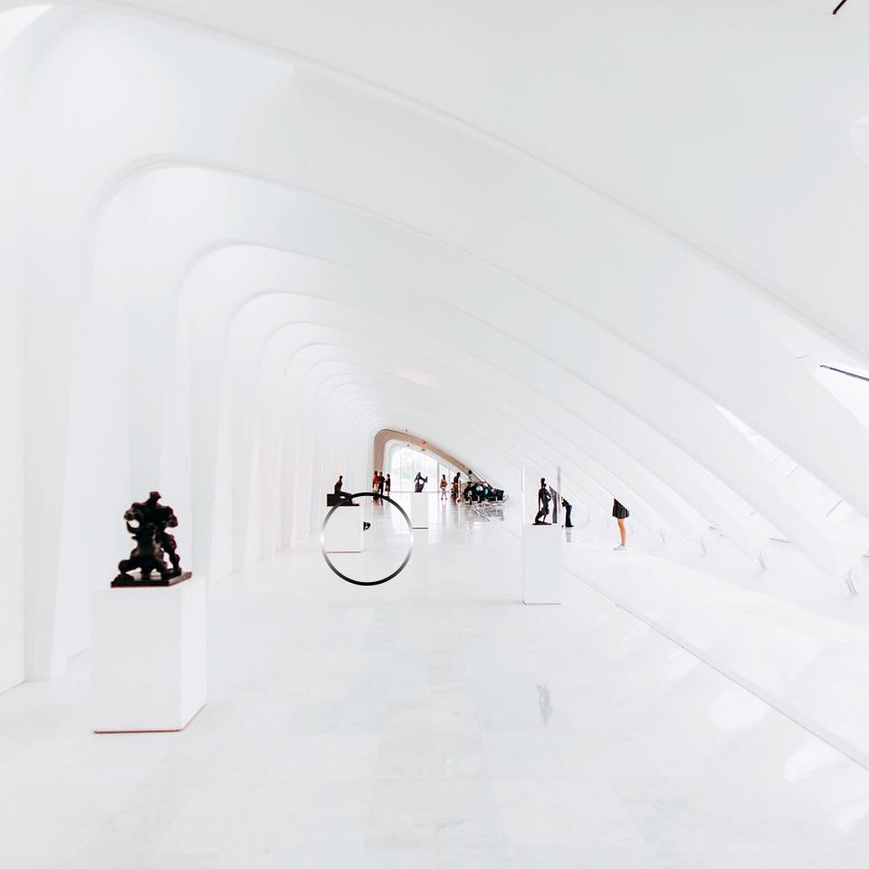 This dog is the real-life "Where's Waldo"