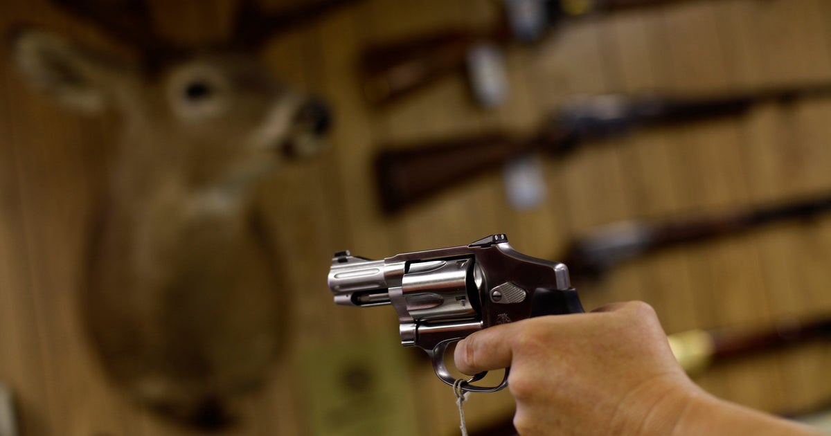 This mutual fund is now the largest owner of one of largest gun ...