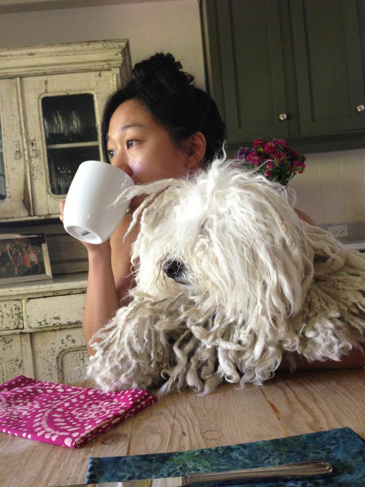 Meet Beast Zuckerberg, your new favorite dog rug