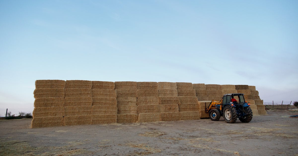 11-year-old crushed to death by falling hay bale in Pennsylvania - CBS News