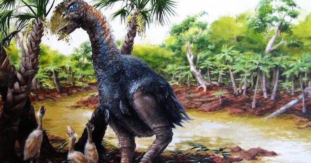 Giant, vegan bird once roamed the Arctic - CBS News