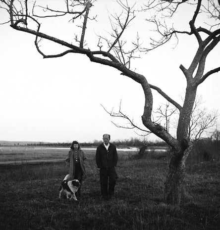 The art of Jackson Pollock