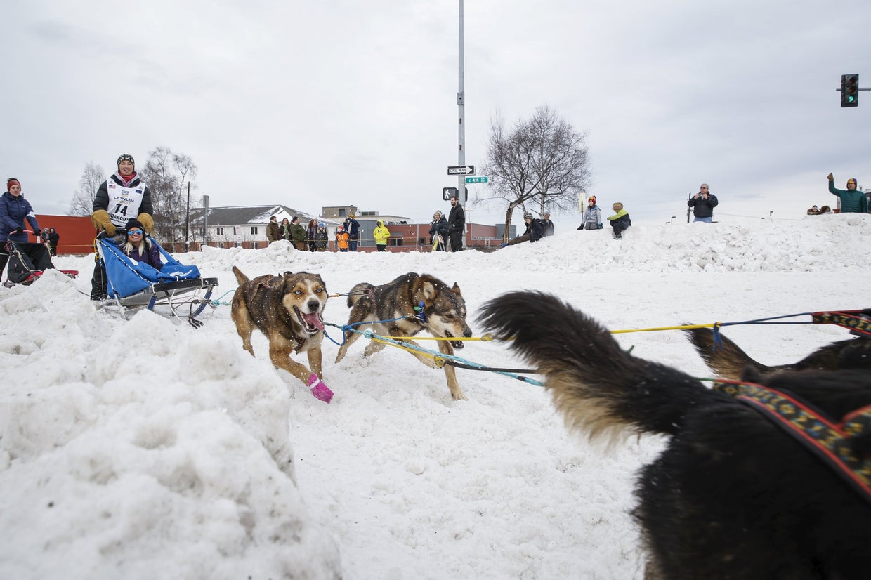 Alaska's Iditarod: "The last great race"
