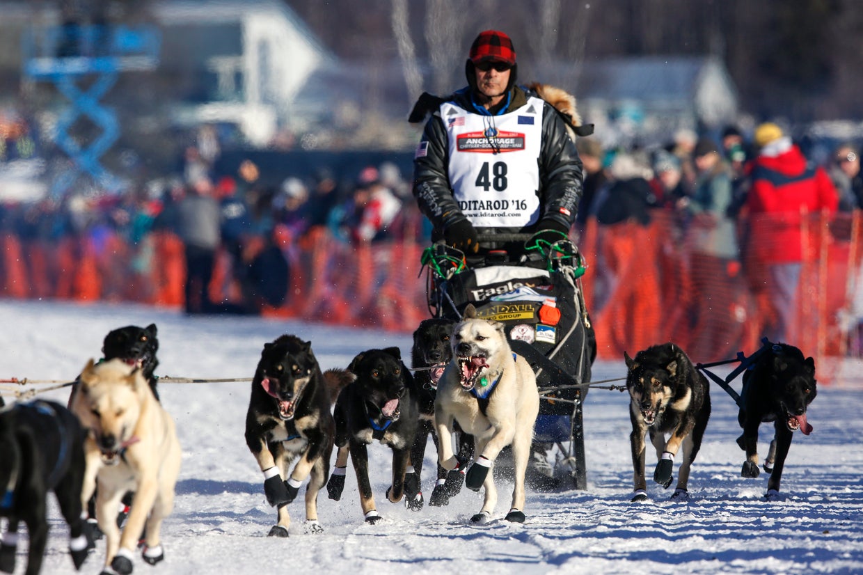 Alaska's Iditarod: "The last great race"