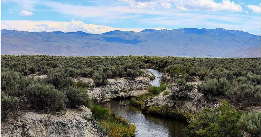 Bodies found in hot spring in Nevada - CBS News