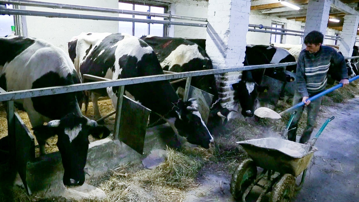 Chernobyl radiation still "a disaster" in Belarus where farm produce ...