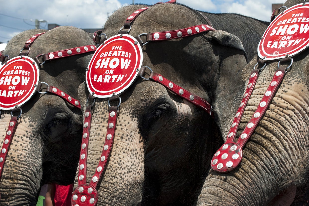 End of an era for Ringling Brothers circus elephants
