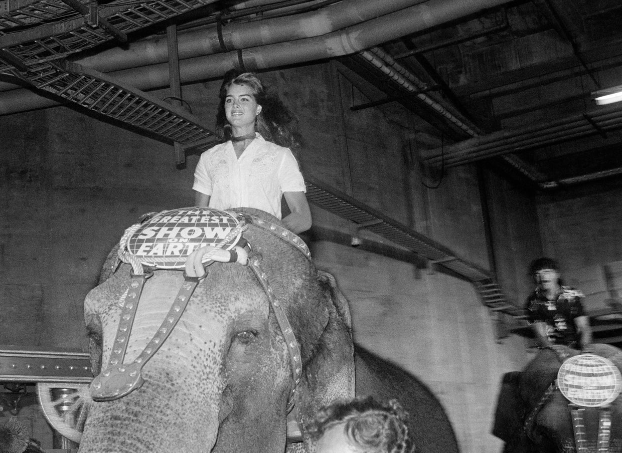 End of an era for Ringling Brothers circus elephants