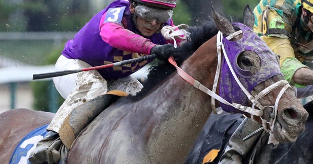 Preakness day starts with horses Homeboykris, Pramedya dying at ...