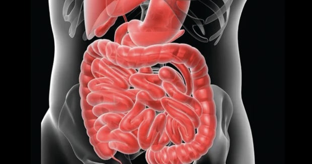 When can you stop getting colonoscopies to screen for colon cancer ...
