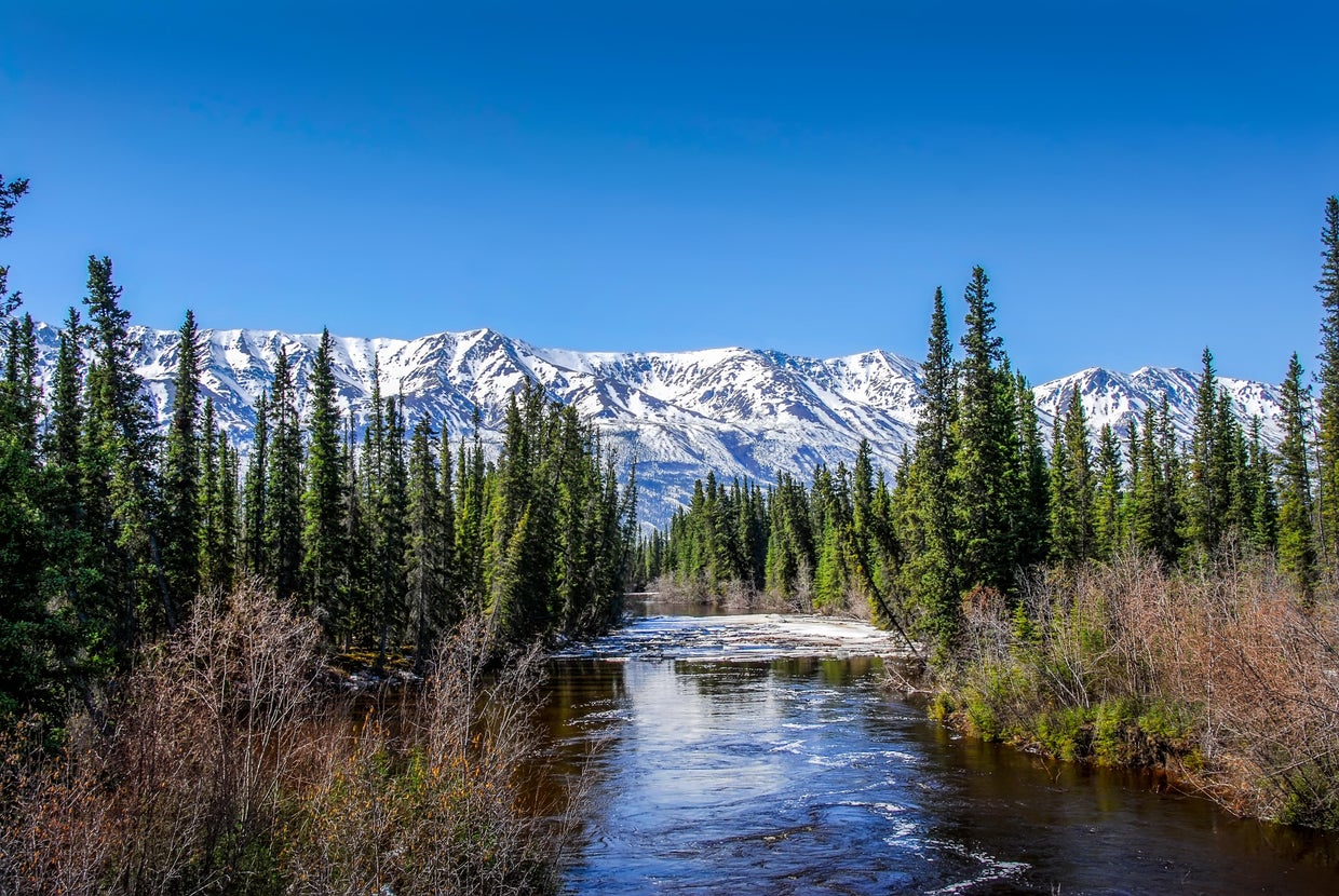 15 cool facts about America's national parks