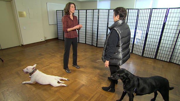 A dog’s secret life - CBS News
