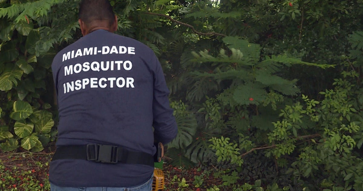 Whats Being Done To Fight The Zika Virus Cbs News