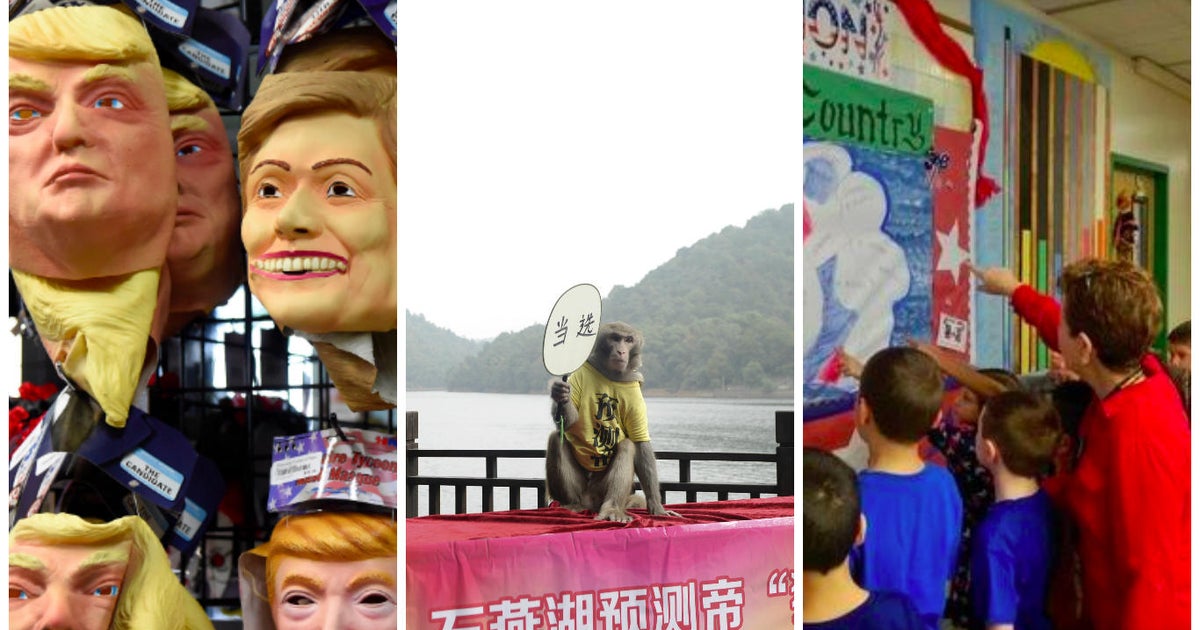 5 things that have correctly predicted the presidential election for ...