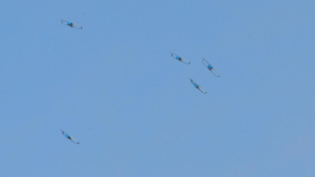 Capturing the swarm - CBS News