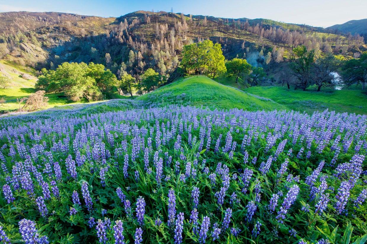 29 breathtaking photos of President Obama's national monuments