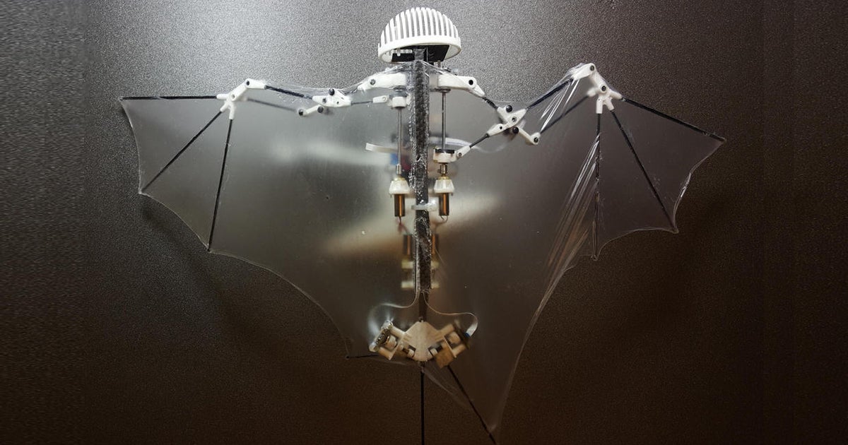 This new drone design is inspired by bats' flight - CBS News