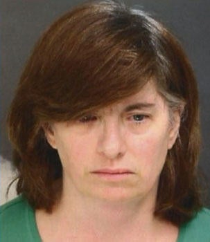 Sarah Gable, Pa. daycare worker, seen on video pushing child down ...
