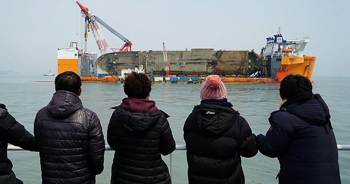 Sinking of MV Sewol‬: South Korea finds animal remains near salvaged ...