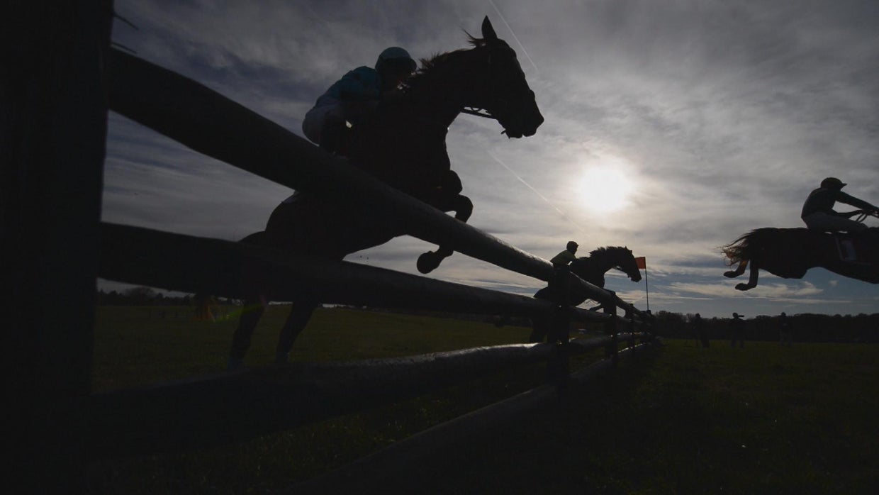 Horse racing not for the faint-hearted - CBS News