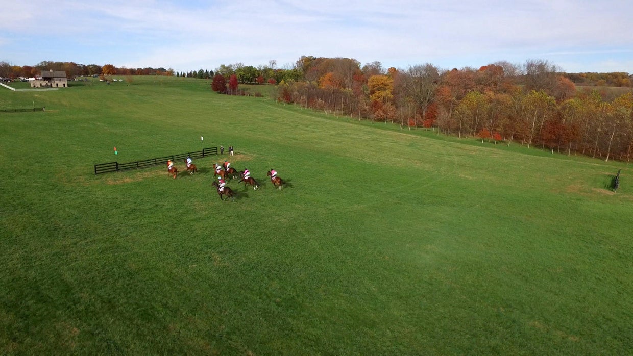 Danger and beauty of a lesser-known style of horse racing - CBS News