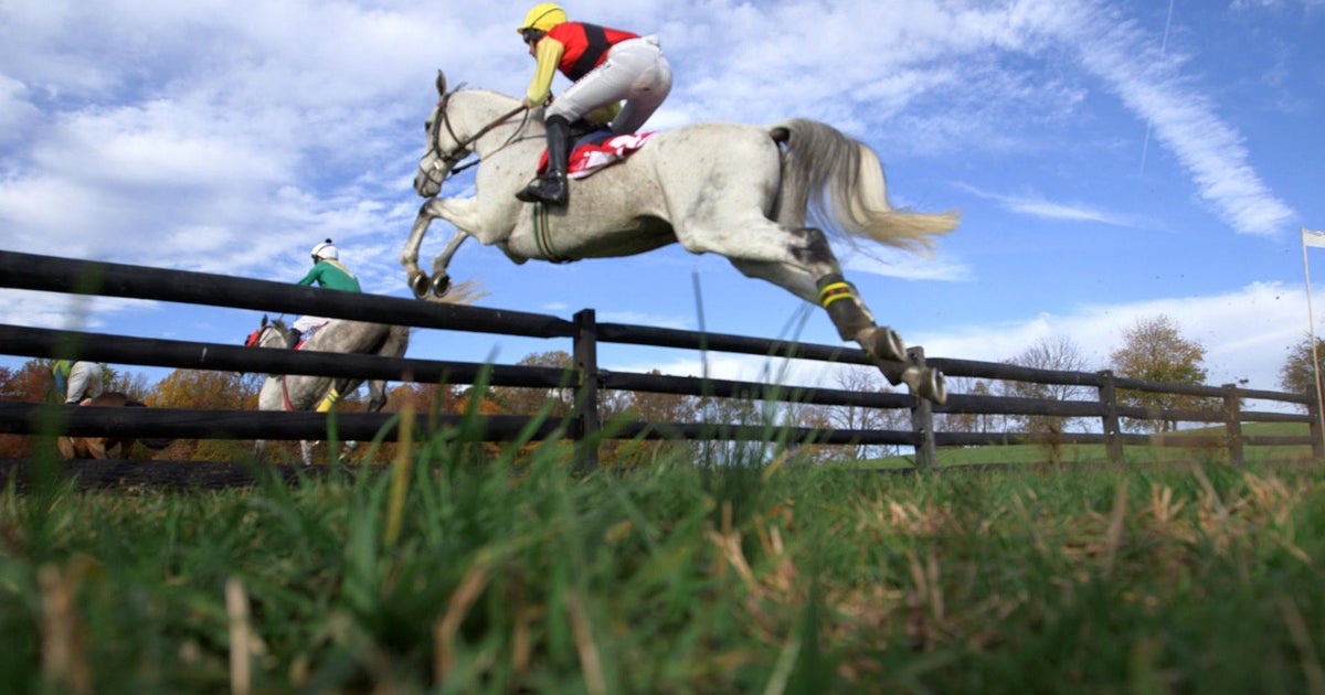 Danger and beauty of a lesser-known style of horse racing - CBS News