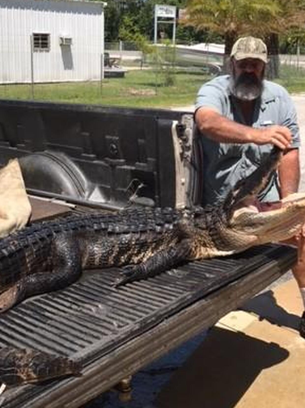 Girl survives alligator bite in shallow lake water at Florida park ...