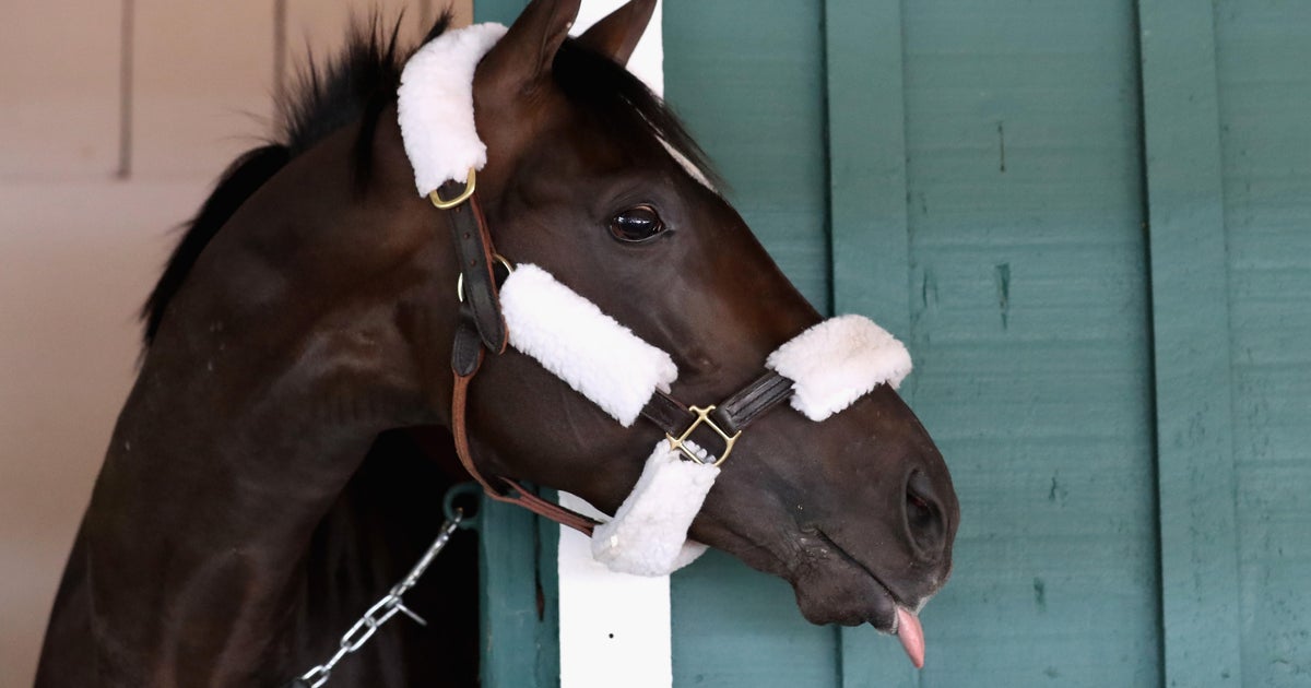 How to watch the 2017 Preakness: Start time, livestream and odds for ...