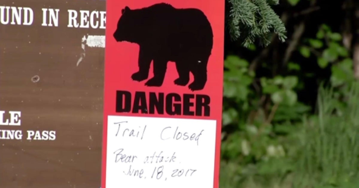 Black bear mauls 16-year-old boy to death during race in Alaska - CBS News