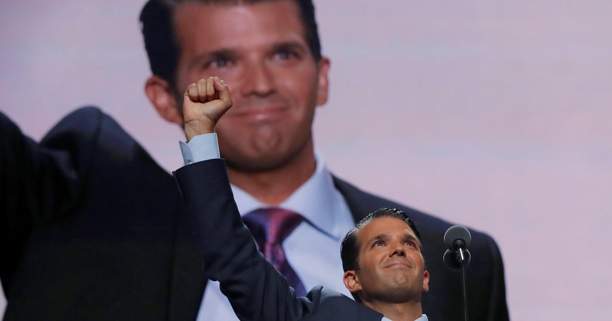 Translator in Trump Jr. meeting identified as ex-State Dept. contractor ...