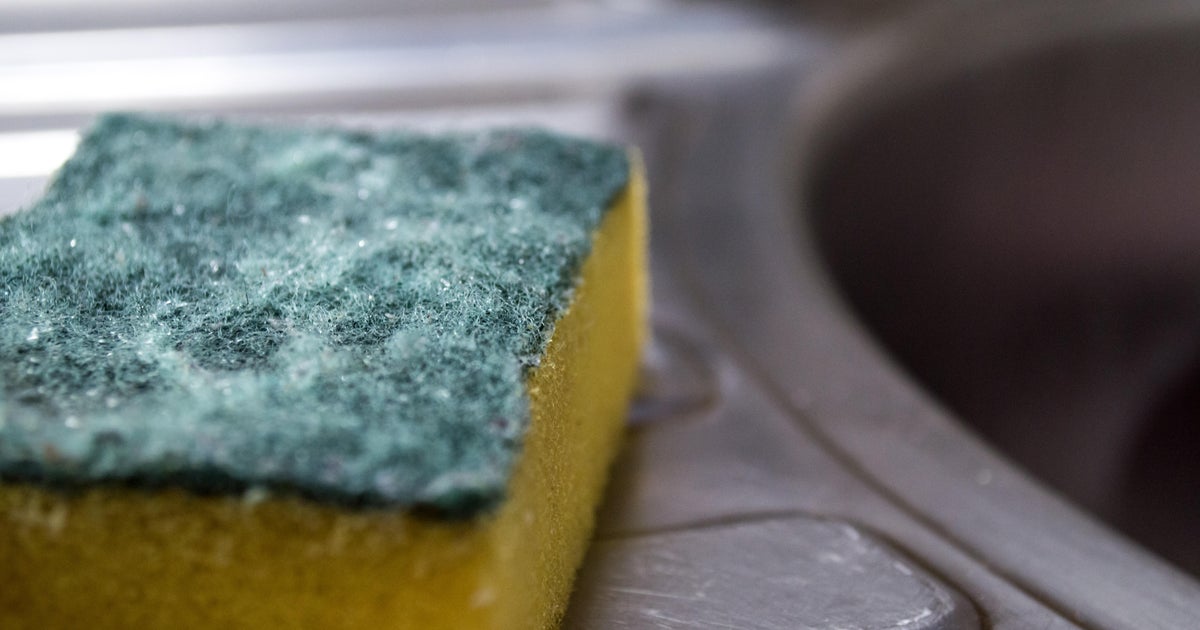 Is it time to replace that germy kitchen sponge? - CBS News