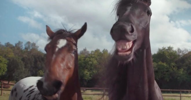 Clio Awards 2017: Watch the world's best TV commercials