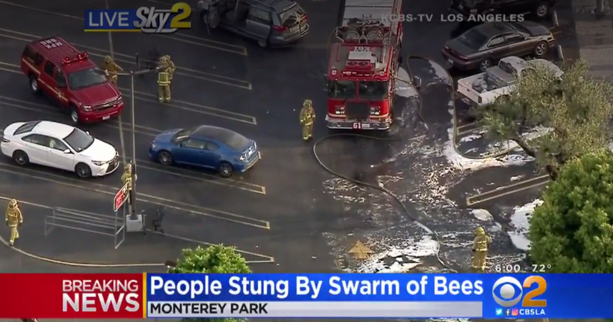 Bee attack near L.A. sends two to hospital - CBS News