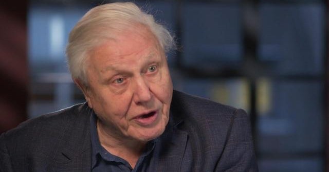 Sir David Attenborough on nature films - CBS News