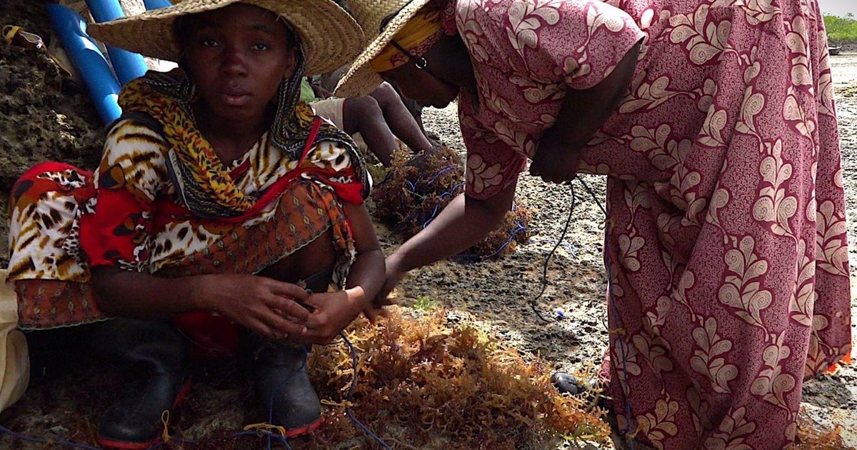 Climate change eroding women's status in Zanzibar - CBS News