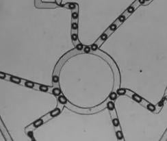 The beauty and science of bubbles - CBS News