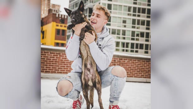 Top social media influencers of 2018