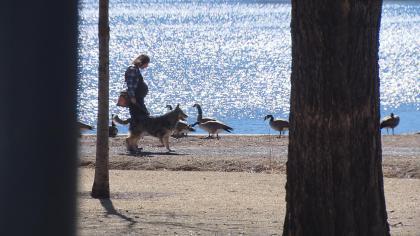 Temperature in Denver plummets 72 degrees in 40 hours, officials say ...