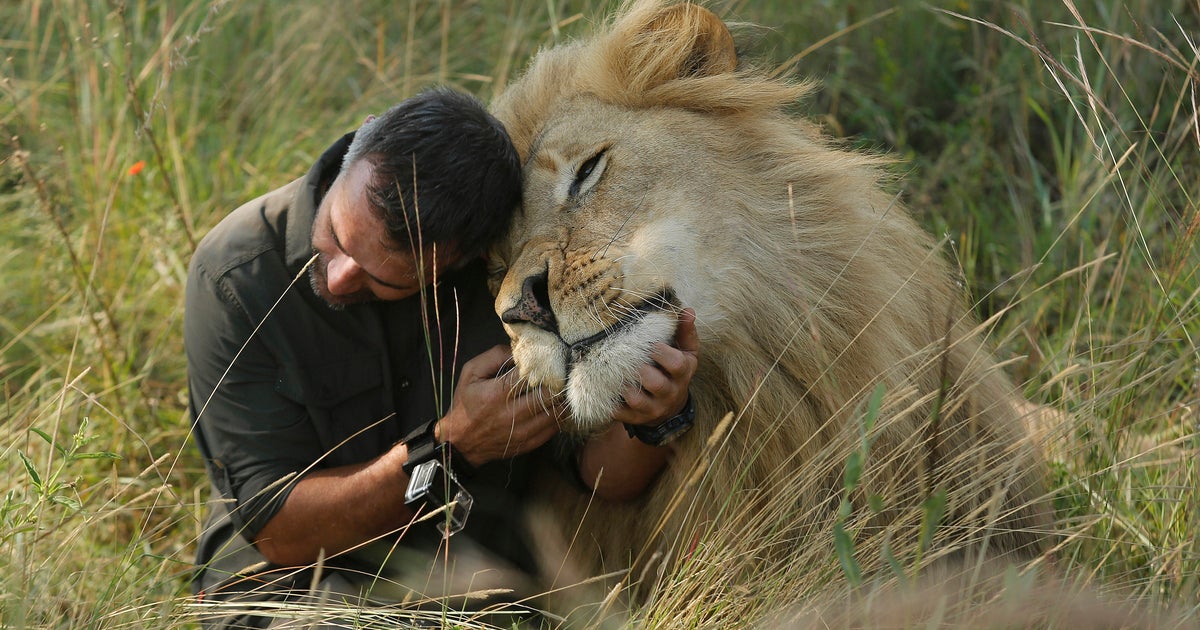 South Africa lion kills woman at lion whisperer Kevin Richardson's ...