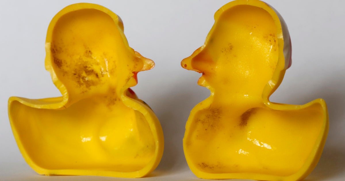 Rubber ducks may be haven for nasty germs - CBS News