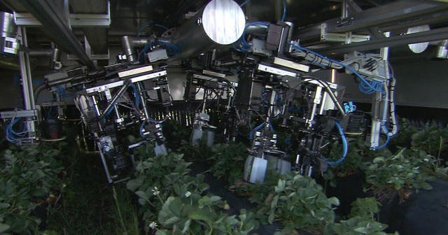 Farmers look to artificial intelligence as workforce declines - CBS News