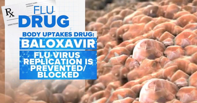 FDA agrees to fast-track review of one-dose flu drug - CBS News