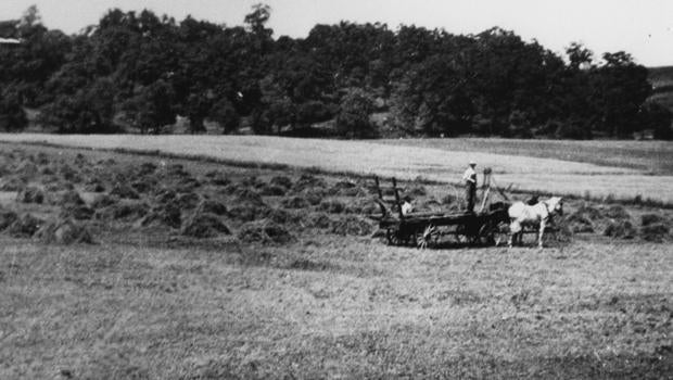 A Taste of Summer: Cultivating the perfect park experience - CBS News