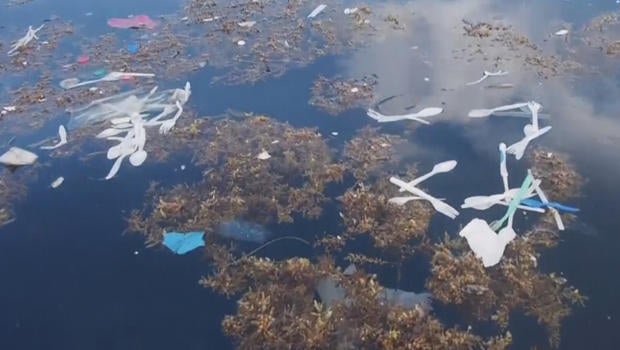 Piling up: Drowning in a sea of plastic - CBS News