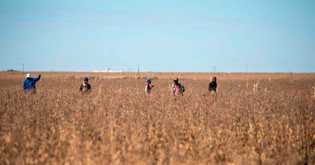 Trump Dives Into Controversy Over South Africas Land Policies And