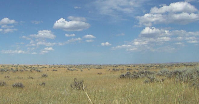 Reclaiming the American prairie - CBS News