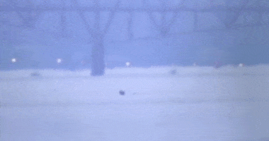 Officials detonate unexploded mine floating in Puget Sound - CBS News